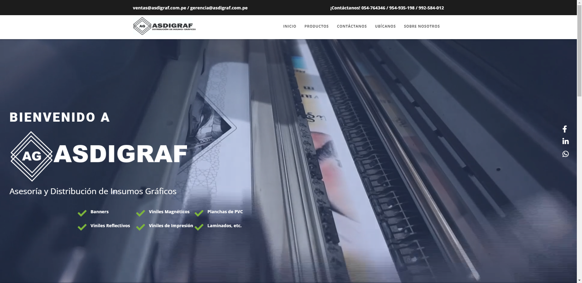 Portfolio - Brando Pinto